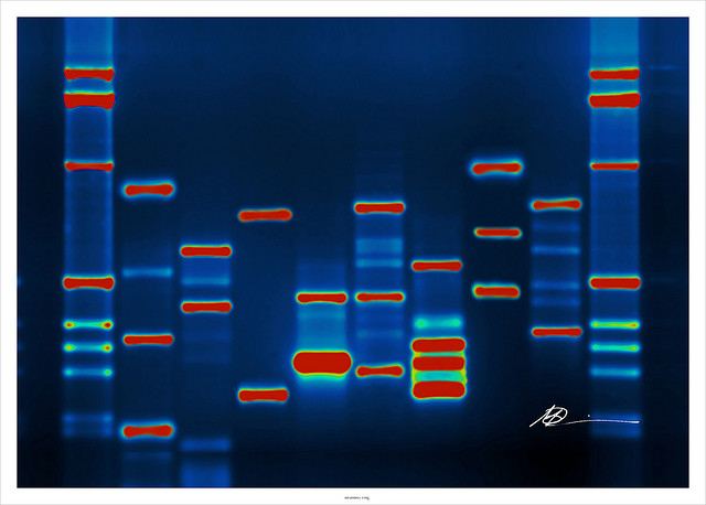 ENCODE, the media, and what we really know about the human genome ...