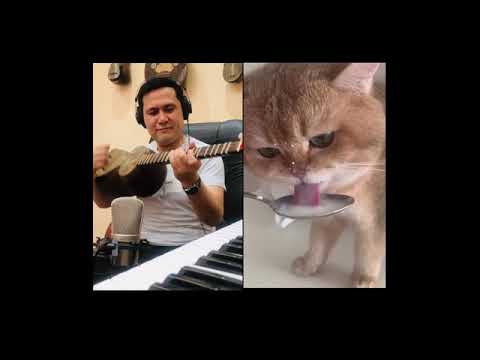 Watch an adorable cat lapping milk set to music - Boing Boing