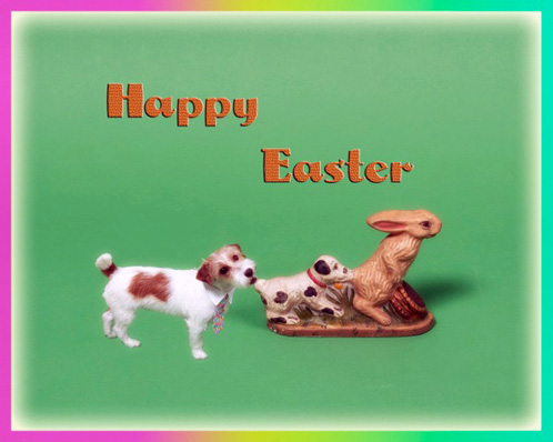 Happy Easter! | David Boles, Blogs