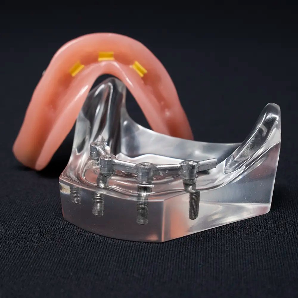 Hader Bar - BoneModels™