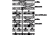 Quicksort Algorithm Example In Java Using Recursion Sorting Algorithm