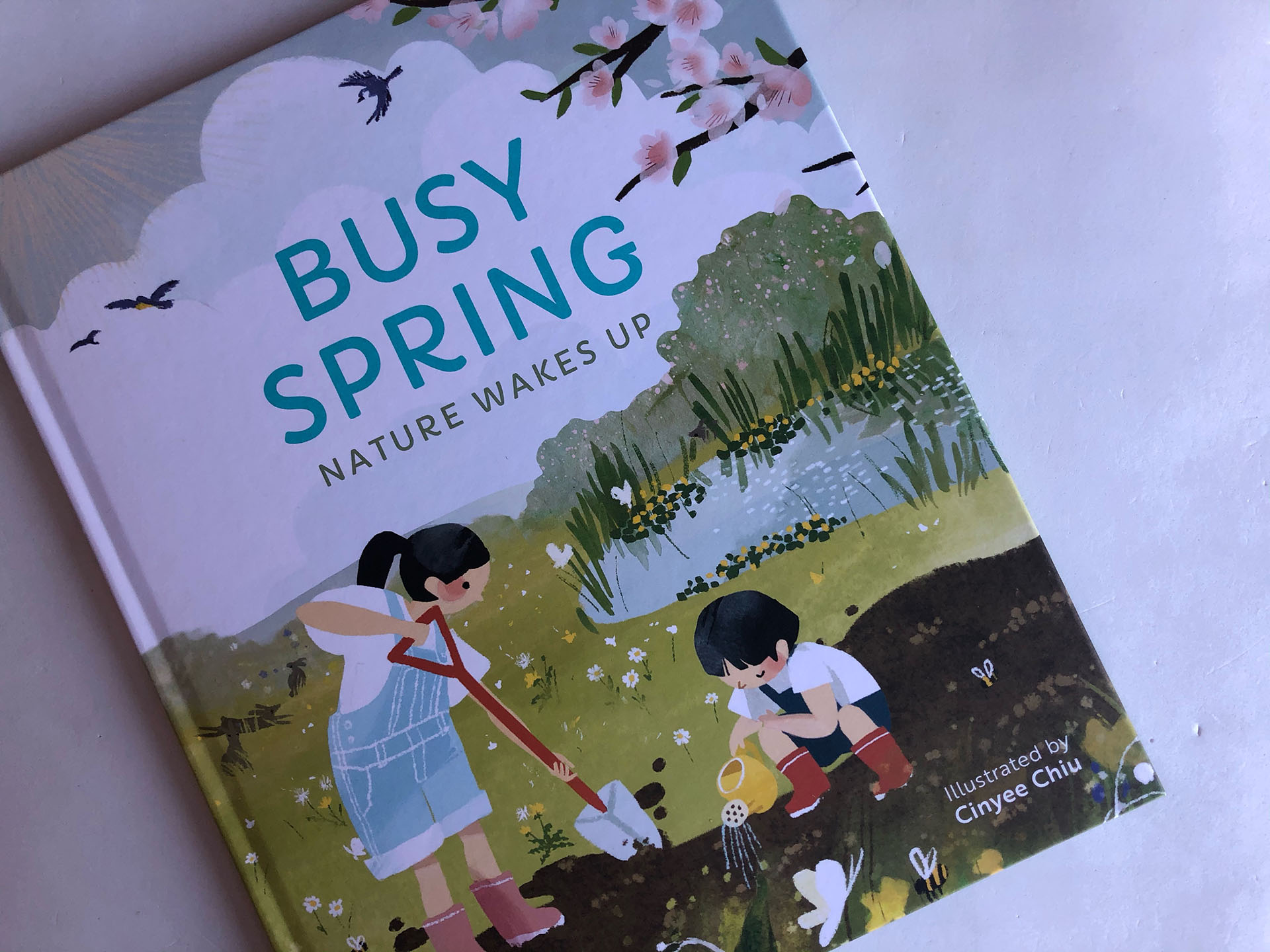 Busy Spring: Nature Wakes Up by Sean Taylor and Alex Morss. Illustrated ...