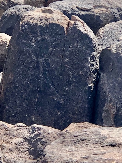 Prehistoric Adventure Ends With Pancakes! – Boone Appétit