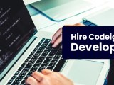 Hire Codeigniter Developers Programmers Engineers India