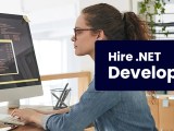 Hire Net Developers Full Stack Dot Net Developers India