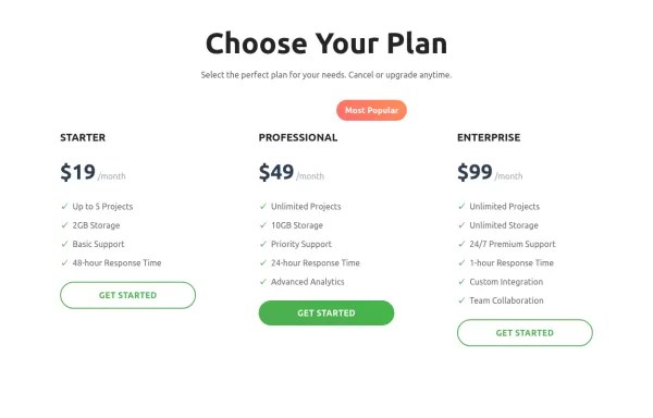 Professional Bootstrap Pricing Table Bootstrap 5 Example