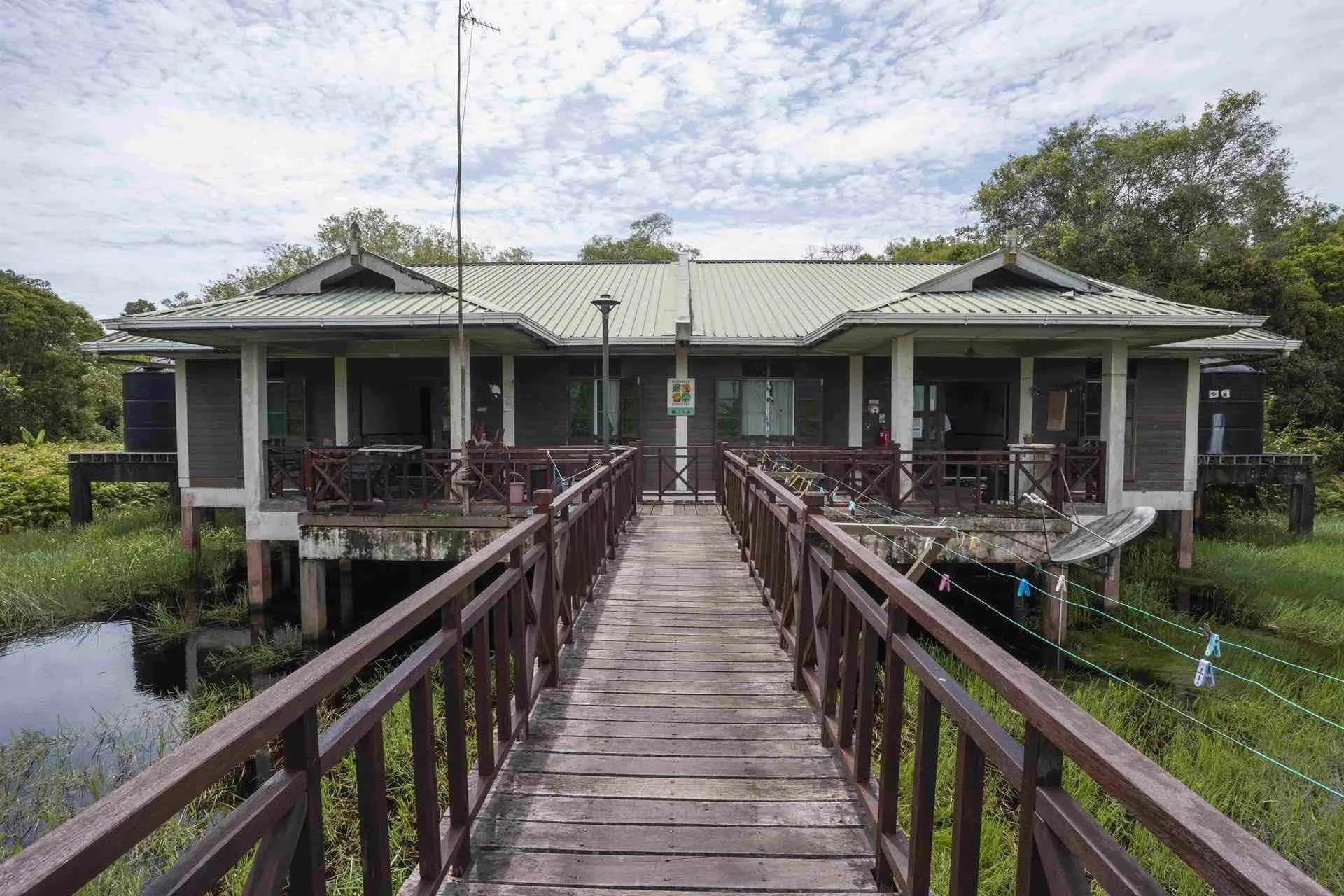Maludam National Park - Home to the rare Red Banded Langur