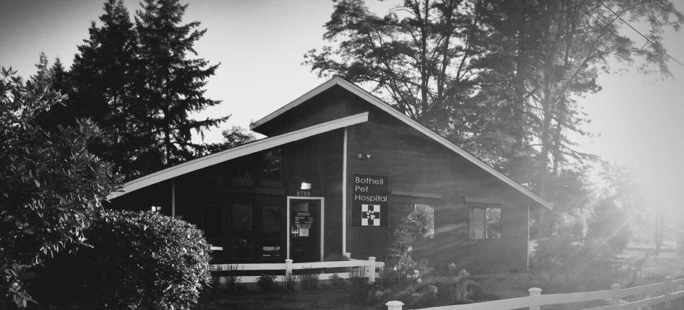 Bothell Pet Hospital - Bothell, Washington Veterinarians