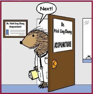 Humour : Acupuncture… | Bouzou's Weblog