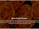 B Slider Best Wordpress Slider Plugin Bplugins