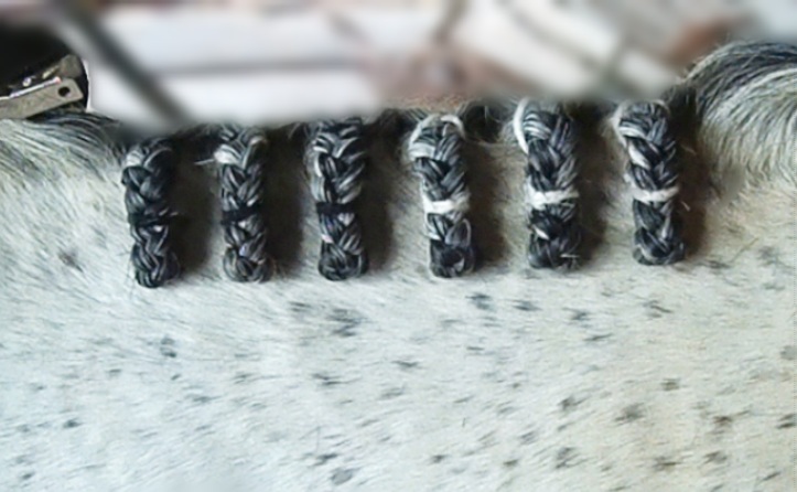 5 BEST TIPS TO FIX MESSY BRAIDS - Braid Secrets