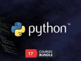 Python Become A Professional Python Programmer Bundle