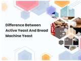 Difference Between Active Yeast And Bread Machine Yeast Breadmach