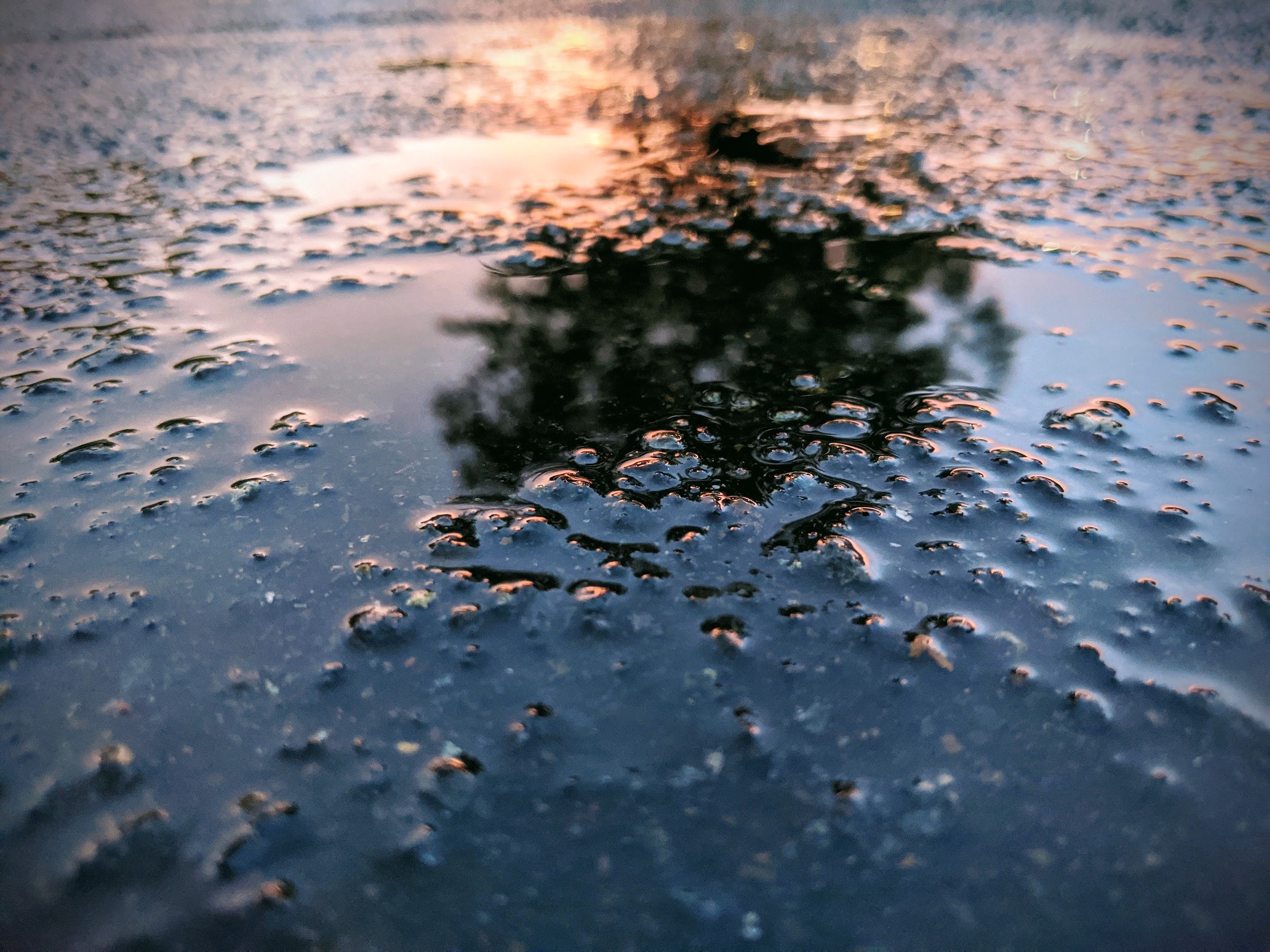 Sunset puddle - Brent Logan