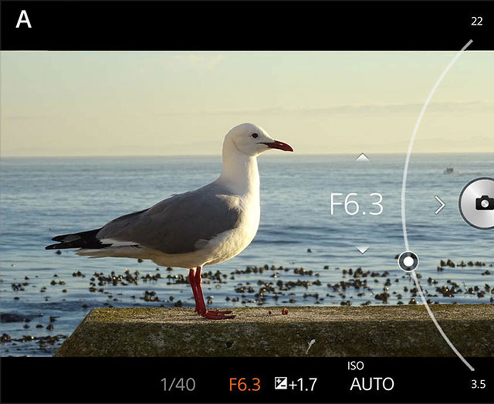 Sony-Smart-Remote-Control - Portrait Photographers Miami l Celebrity ...