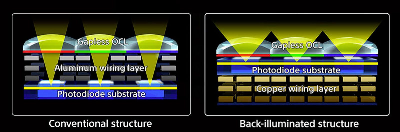 Exmor-R-Back-Illuminated-Sensor - Portrait Photographers Miami l ...