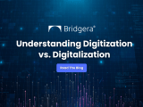Digitization Vs Digitalization Key Differences Explained 2025