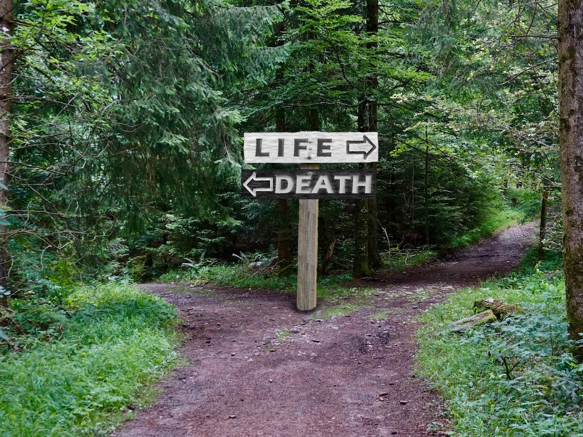 The Two Ways - Bridges to the Bible