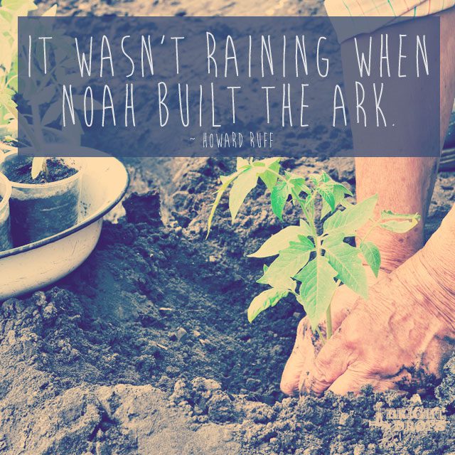 Inspirational Quotes | Inthemindofsk