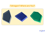 Polygon Shape Types Formulas Examples