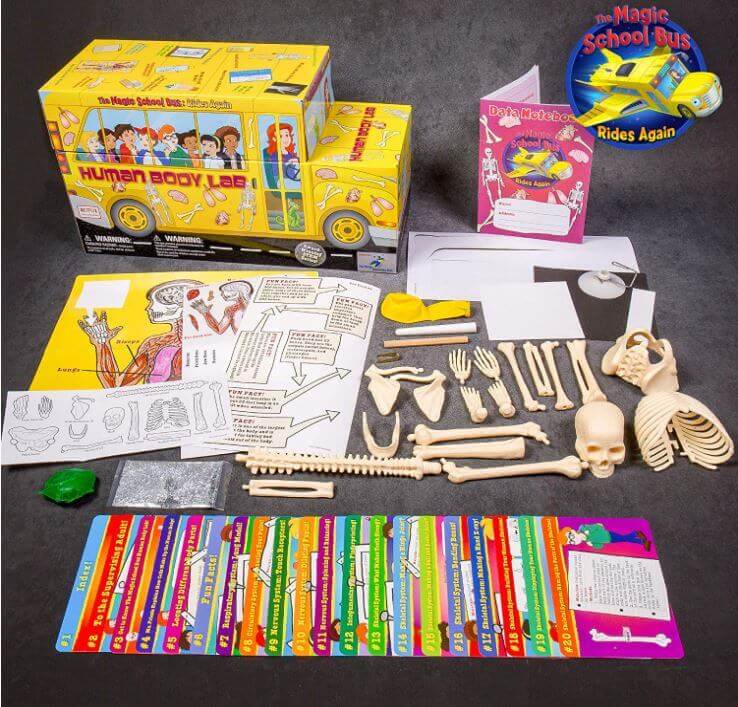 Human Body Lab – Bright Isle