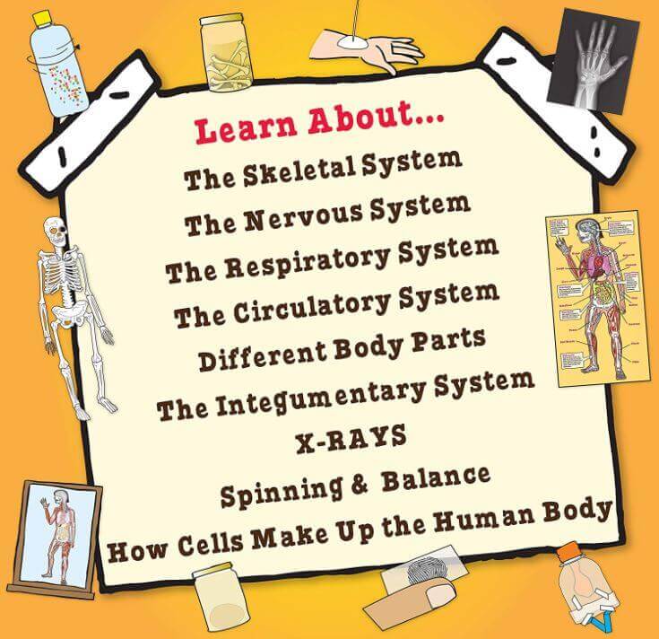 Human Body Lab – Bright Isle