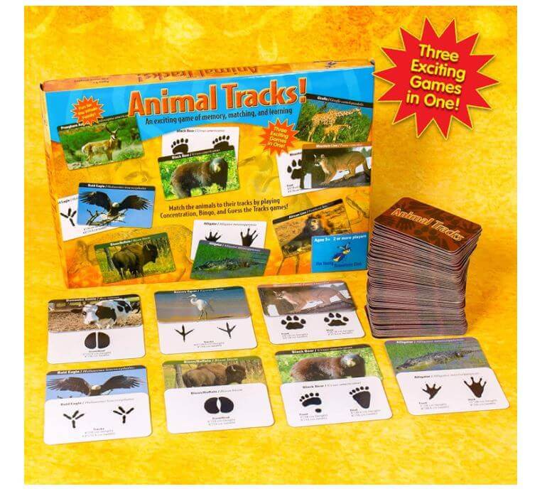 Animal Tracks – Bright Isle