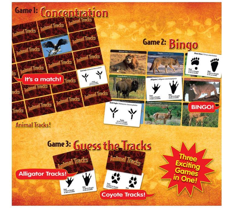 Animal Tracks – Bright Isle