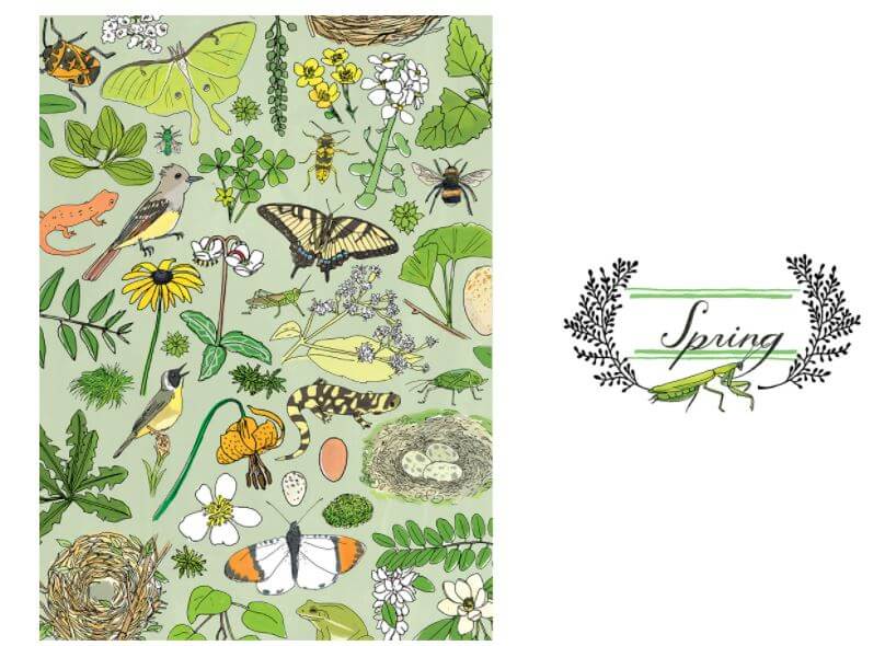 Nature Anatomy Notebook: A Place to Track and Draw Your Daily ...