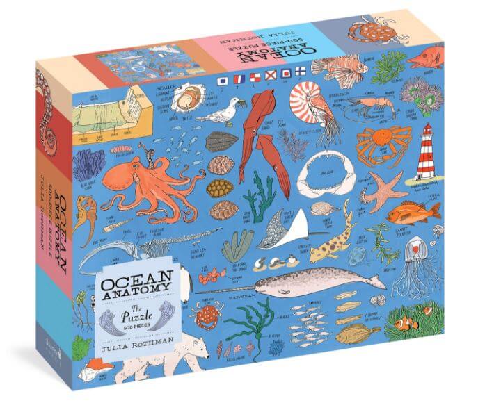 Ocean Anatomy: The Puzzle (500 pieces) – Bright Isle