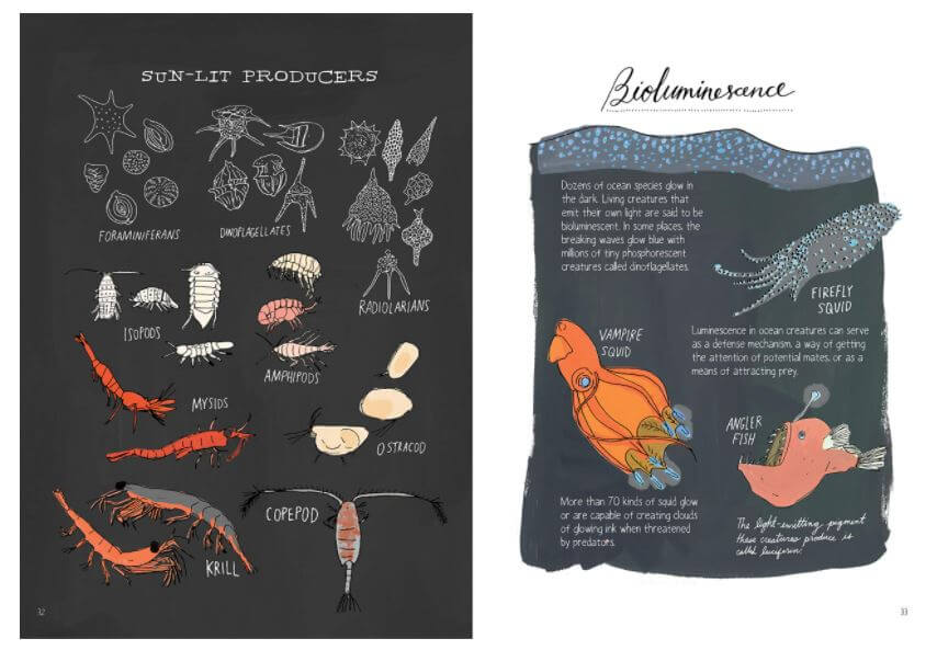 Ocean Anatomy: The Curious Parts & Pieces of the World under the Sea ...