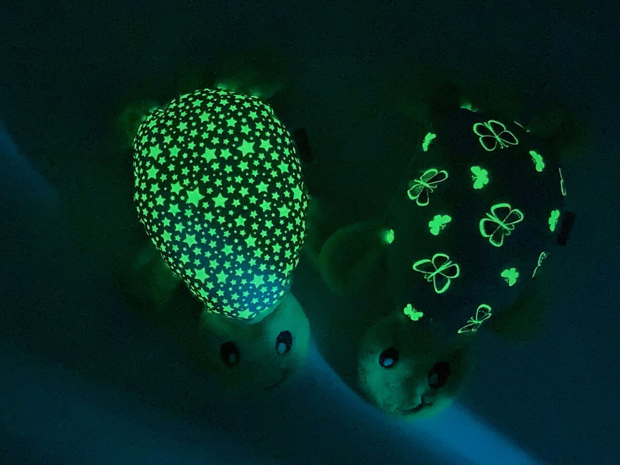 Glow-in-the-Dark Turtle – Bright Isle