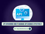 Api Versioning How To Manage Api Changes Effectively