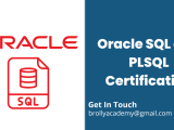 Best Oracle Sql And Plsql Training In Hyderabad