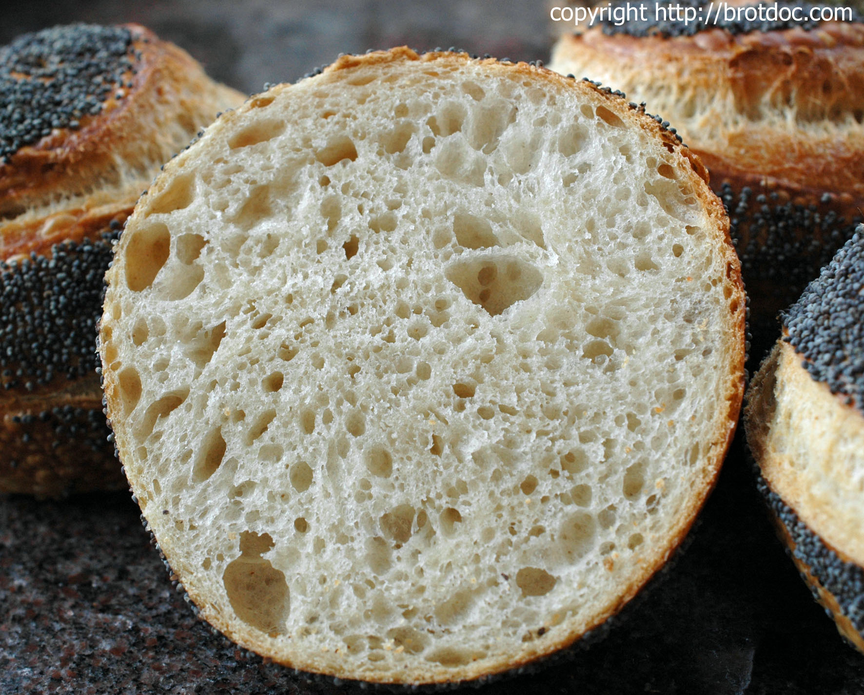 Mohnbrötchen – Poppy Seed Rolls | der brotdoc