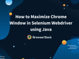 Using Firefoxdriver Chromedriver Selenium With Python Selenium