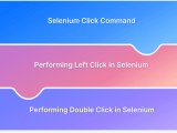 Selenium Click Command Right Click Left Click Double Click