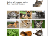 Captcha Test Case Browserstack