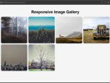 How To Build A Responsive Image Gallery With Html And Css Browserstack