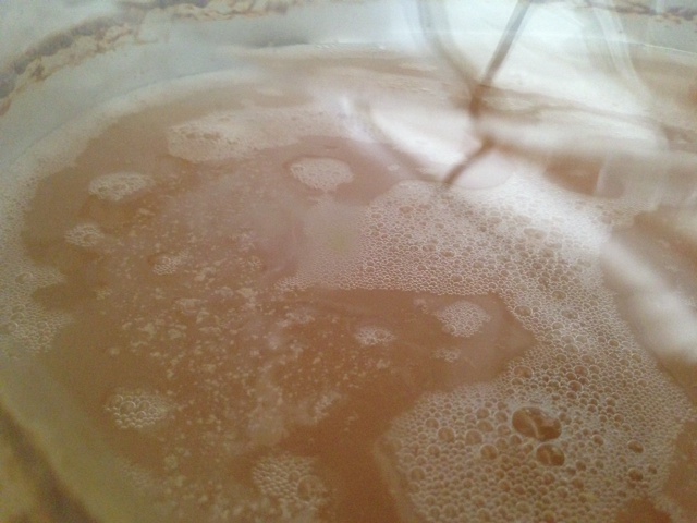 exBEERiment | The Great Trub exBEERiment | Brülosophy