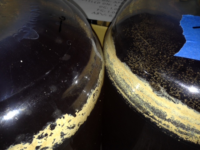 exBEERiment | The Great Trub exBEERiment | Brülosophy