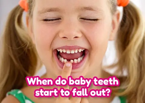 When Do Baby Teeth Fall Out Kid Toothbrushes Kids Toothpaste