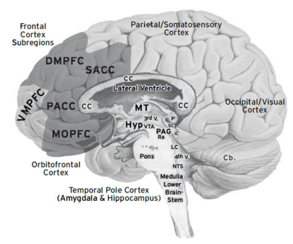 An illustrated guide to our long forsaken Emotional GPS – TOWARDS LIFE ...