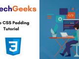 The Css Padding Tutorial Css Padding Property Syntax Example