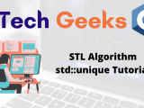 Stl Algorithm Std Unique Tutorial Btech Geeks