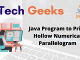 Java Program To Print Hollow Numerical Parallelogram Btech Geeks