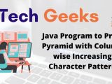 Java Program To Print Pyramid With Column Wise Increasing Character