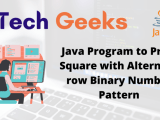 Java Print Binary Java Program To Print Square With Alternate Row