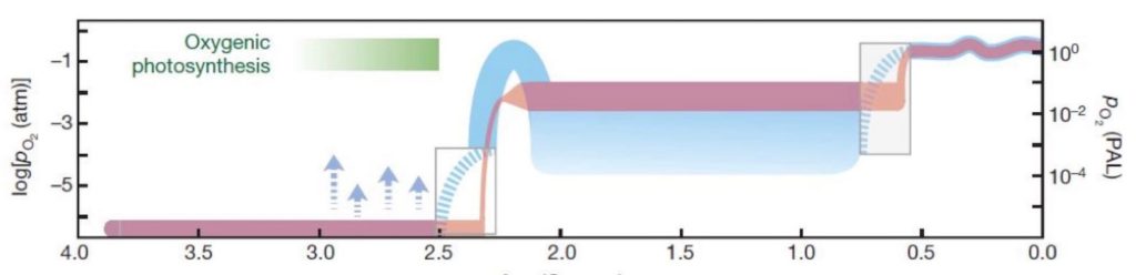 Life on Earth begins with oxygen, but what began that?