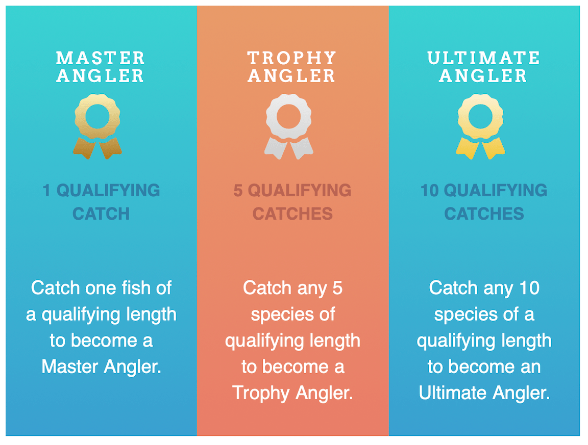 Anglers across Wyoming are catching trophy-sized fish, and lots of them